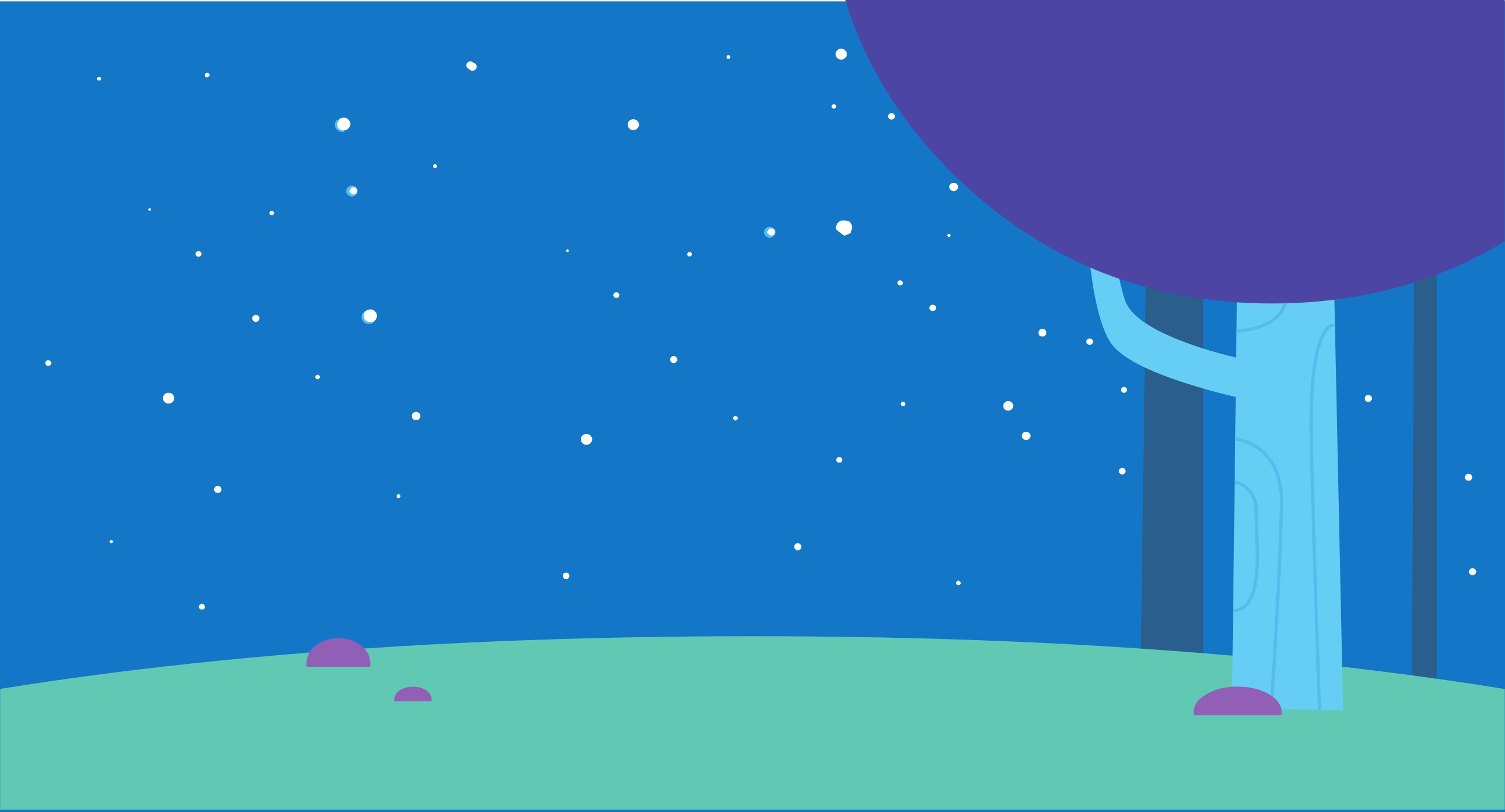 PBS KIDS 2013 Background Night Forest by tn1608 on DeviantArt