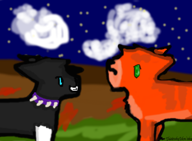 Firestar V.S. Scourge by Thunderandshadowcats on DeviantArt