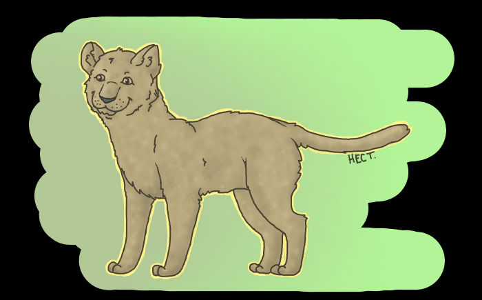 lion cub ref sheet .psd by Cipling on DeviantArt