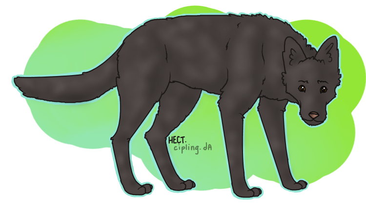 wolf reference .psd by Cipling on DeviantArt