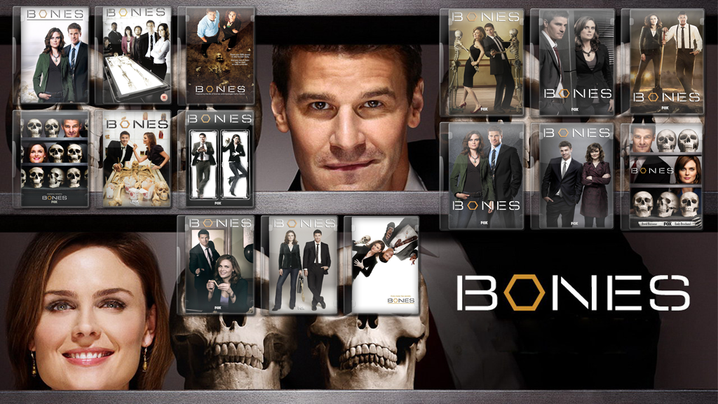 Bones - Icon Pack by DigiZA on DeviantArt