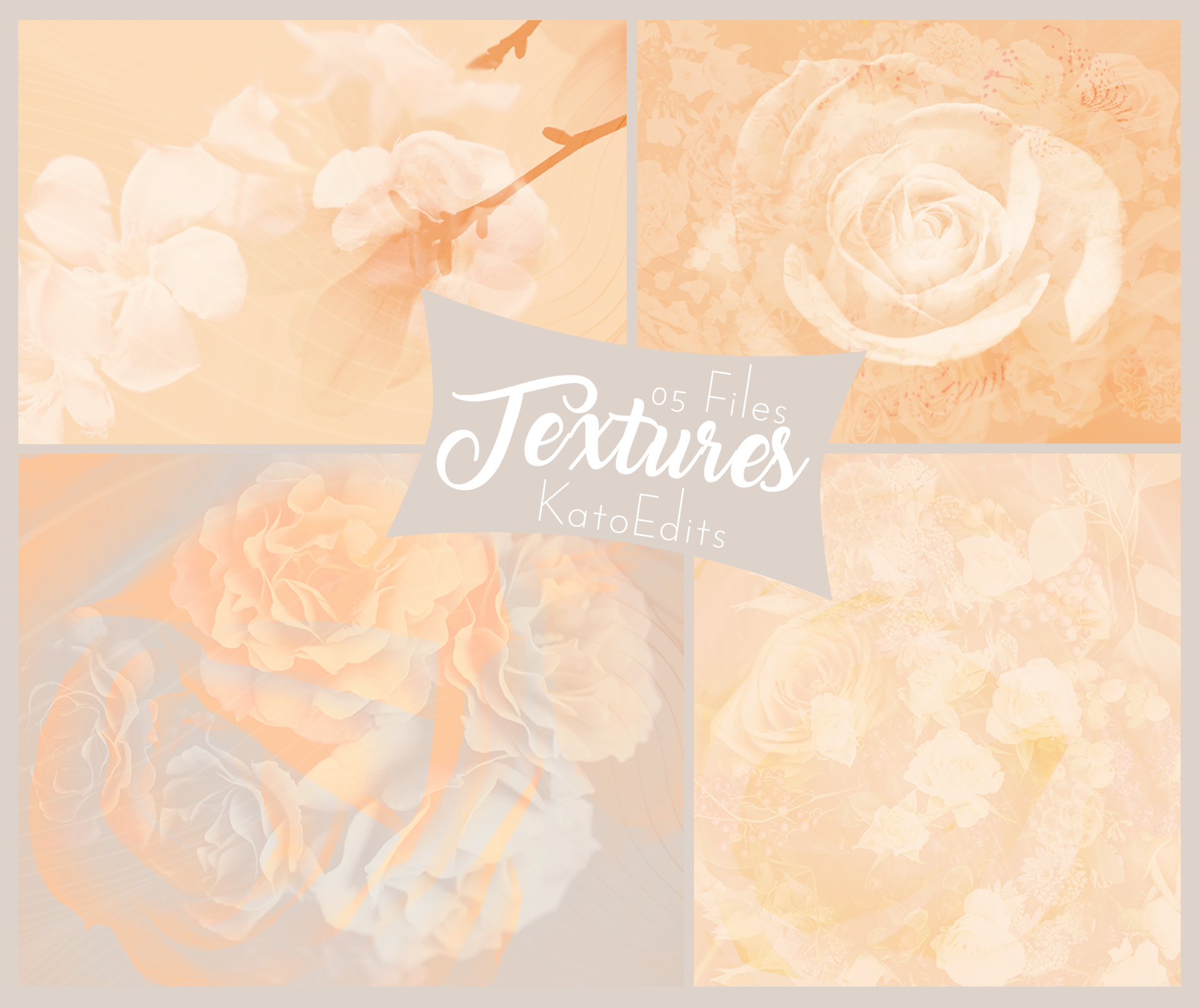 Flower Textures Deviantart