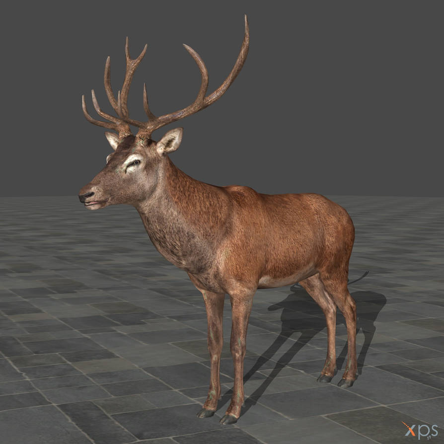 Deer (KOFXV) by xGunbladeKnightx on DeviantArt
