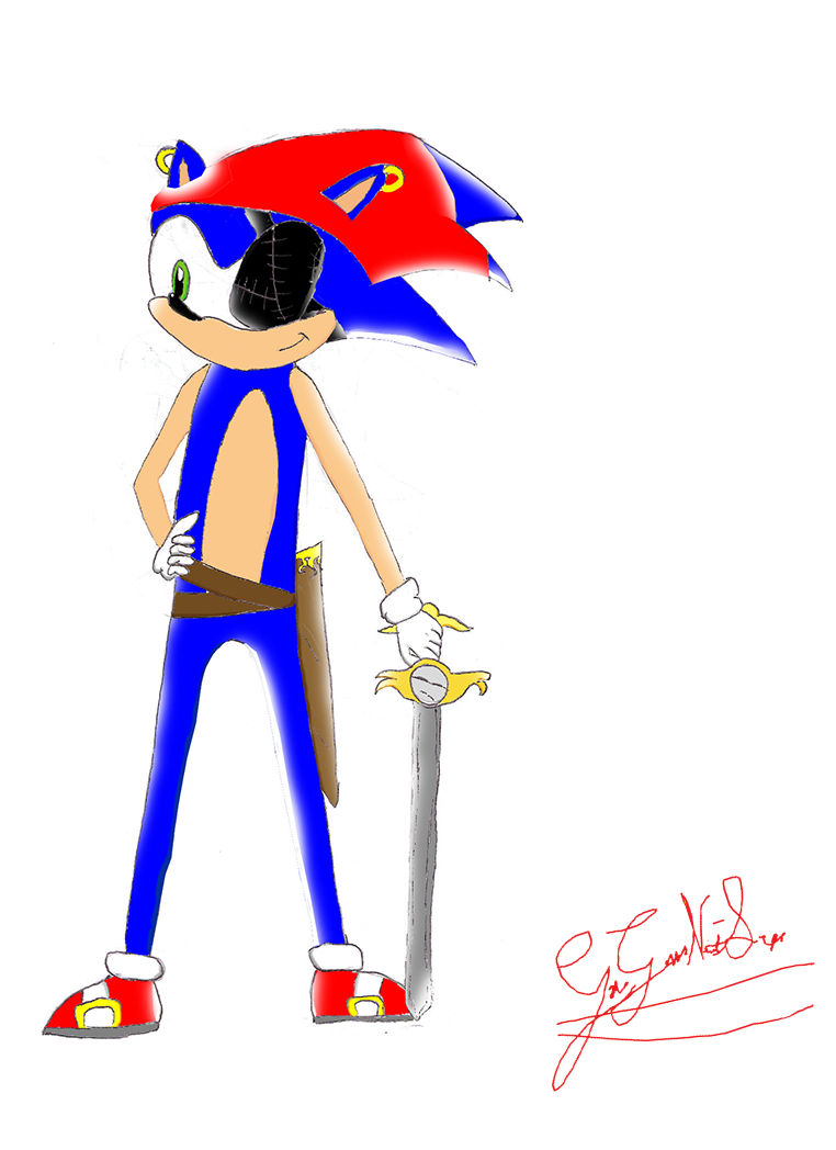 Sonic Pirate Panic ( Sonic) by GamerGirlNinten-SEGA on DeviantArt