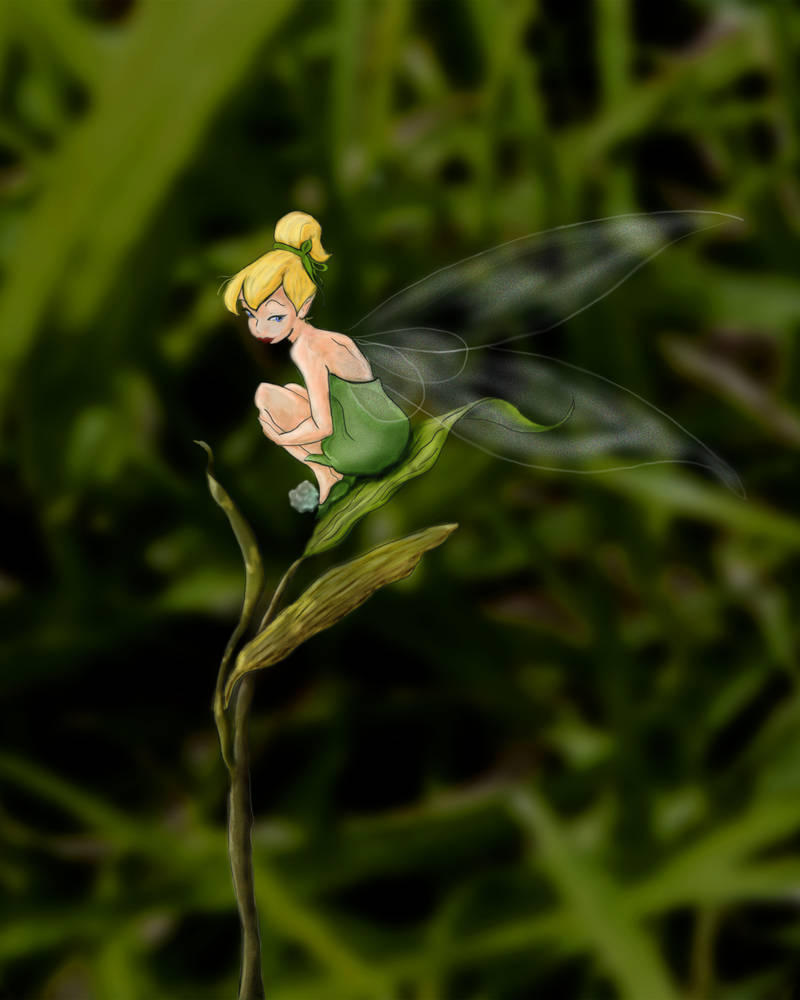 Tinkerbell by vexinc on DeviantArt