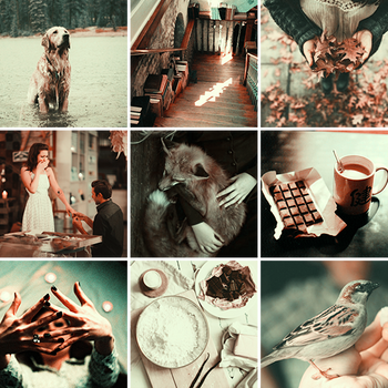 Robyn Goodfellowe moodboard. by Pig3on2 on DeviantArt