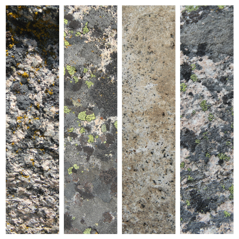 Rock Texture Pack by mechex9 on DeviantArt