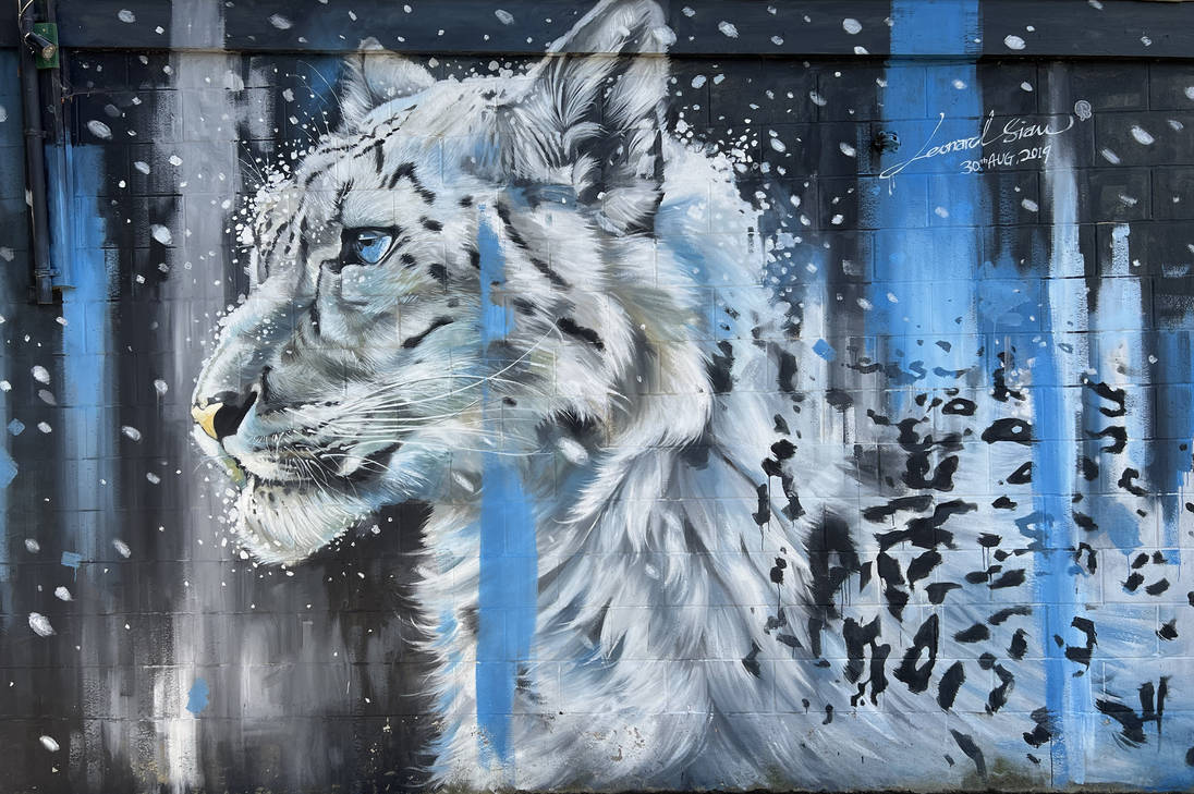 SnowLeopard by cheetahfurry on DeviantArt