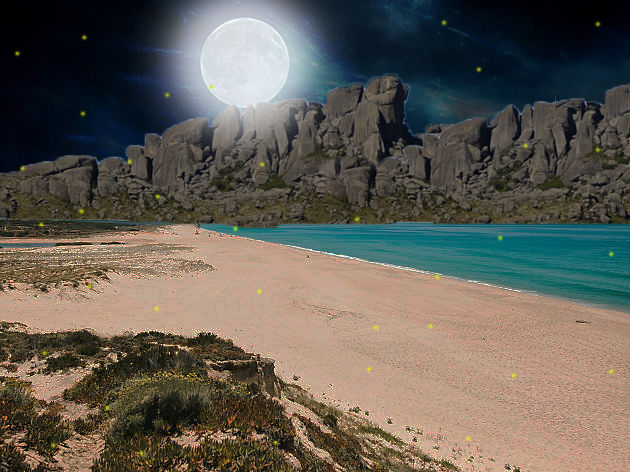 Beach with fireflies by glitchydemonfairy on DeviantArt