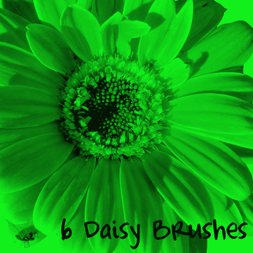 Daisy Brushes by leising11046 on DeviantArt