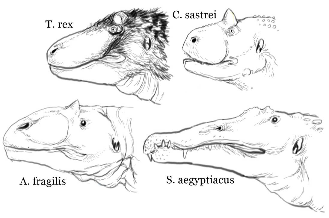 Derpy Theropods by KirbyniferousRegret on DeviantArt