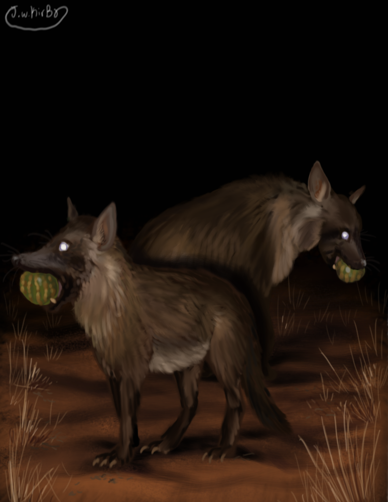 Tomarctus Eats Some Fruit by KirbyniferousRegret on DeviantArt