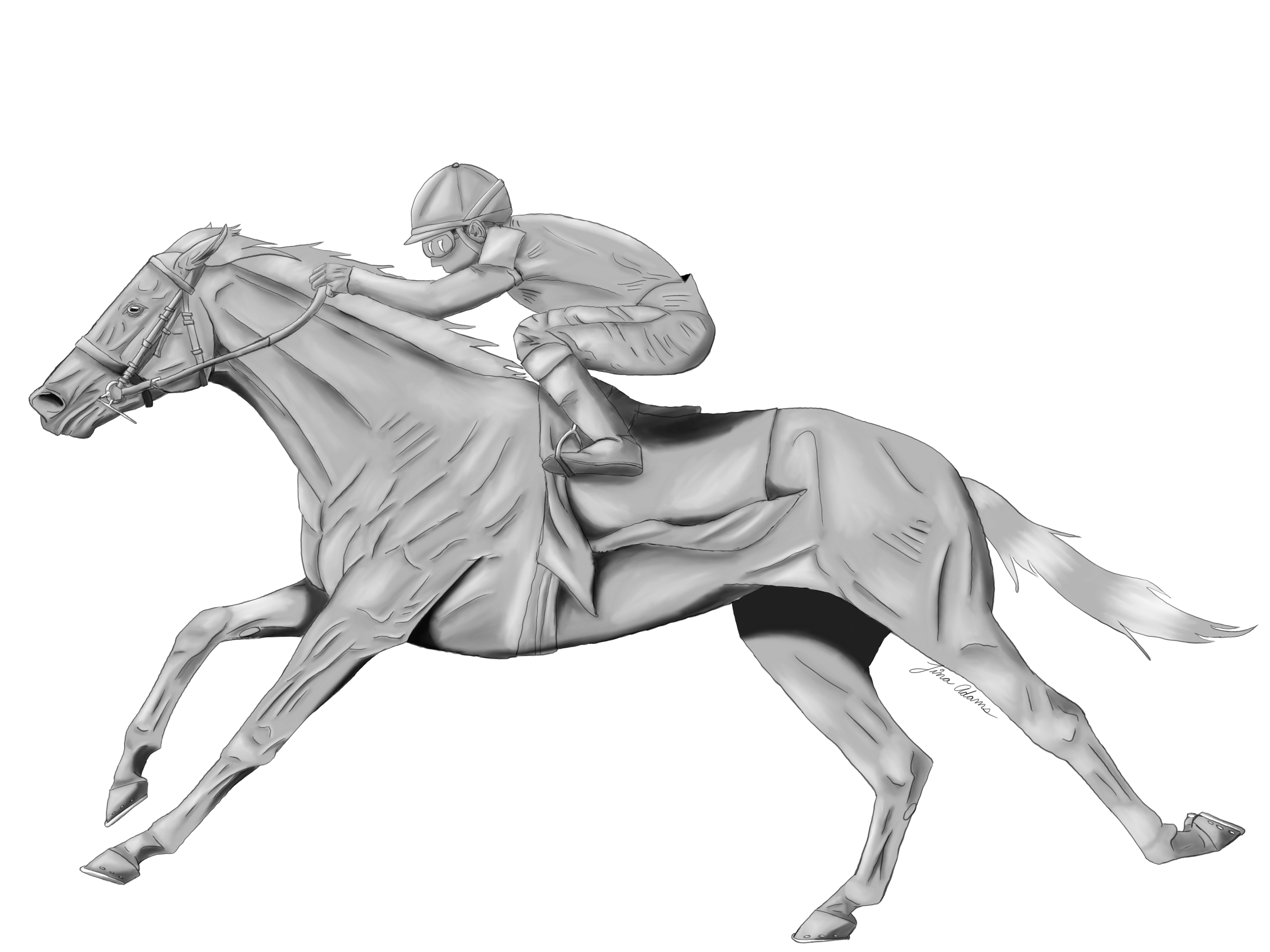 F2U racing thoroughbred greyscale by Tina-Skittles-J on DeviantArt