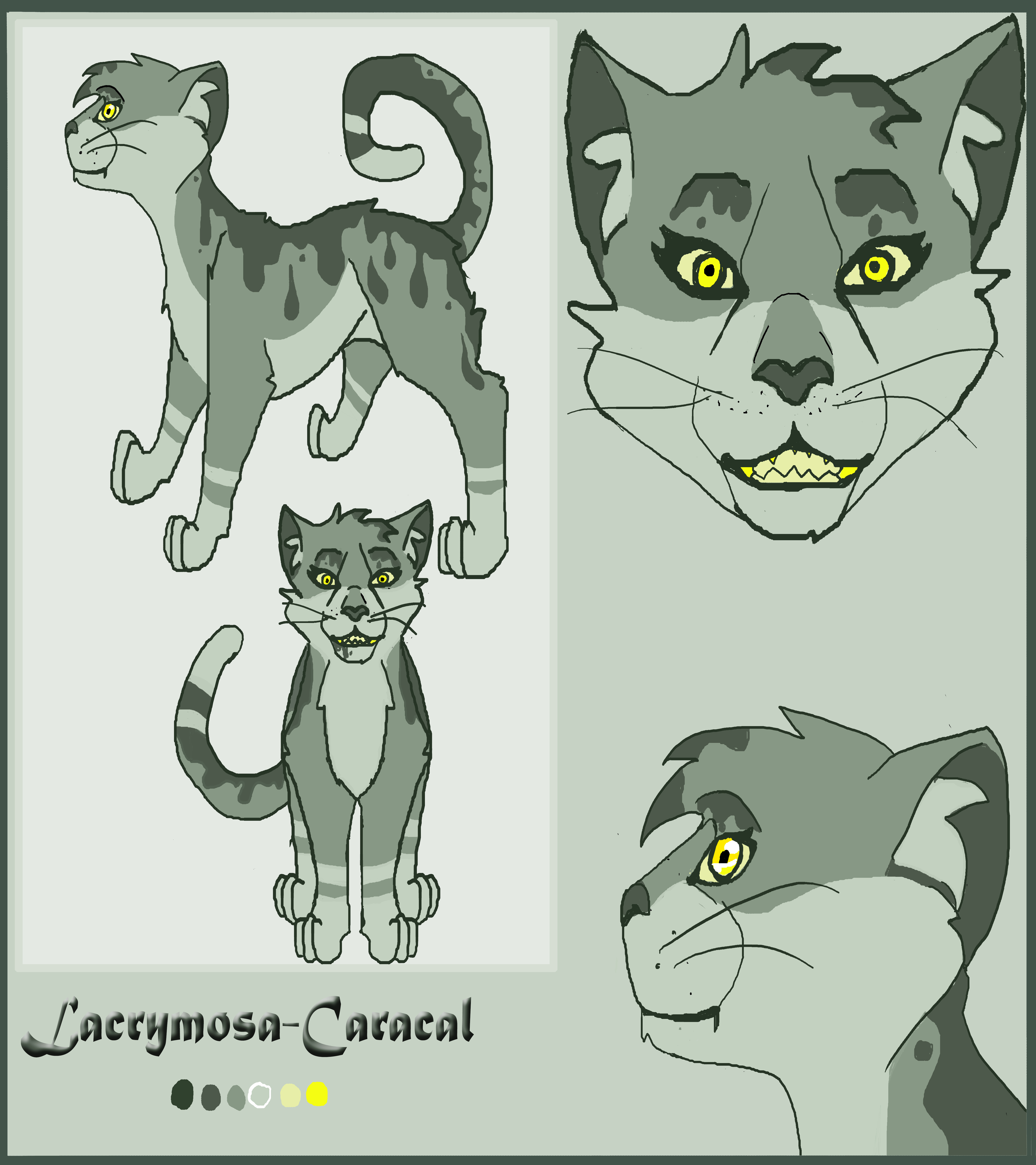 Feline Adoptable #1: Reference Sheet by Icestar34 on DeviantArt