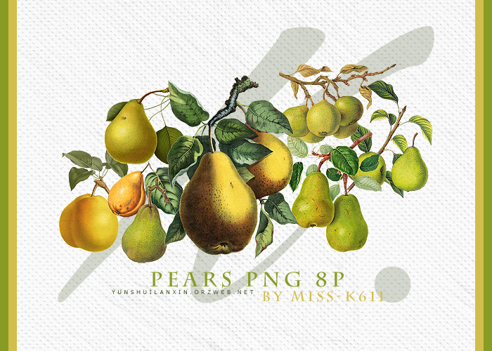 Pears Png by MISS-K611 on DeviantArt