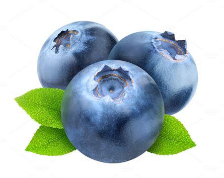 Blueblood: A Blueberry Princess Story by bob-dude on DeviantArt