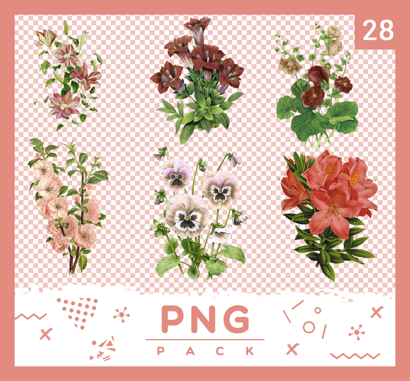 Png pack 28 - Flowers by WskZ on DeviantArt