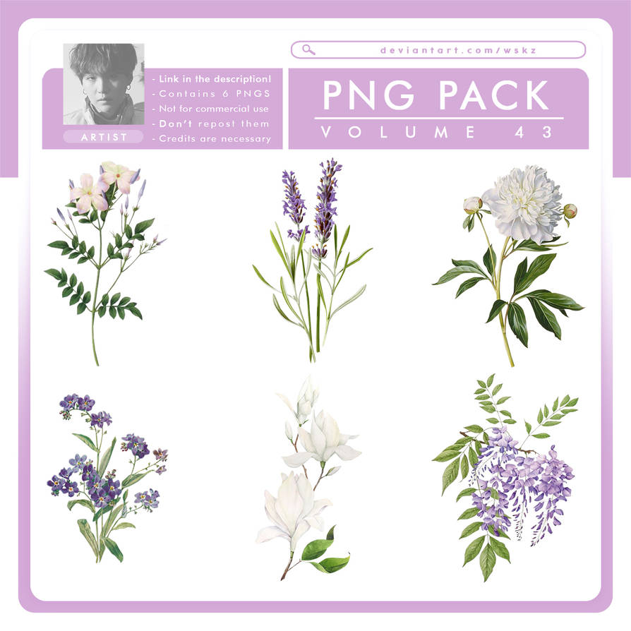 Png pack 43 - Flowers by WskZ on DeviantArt