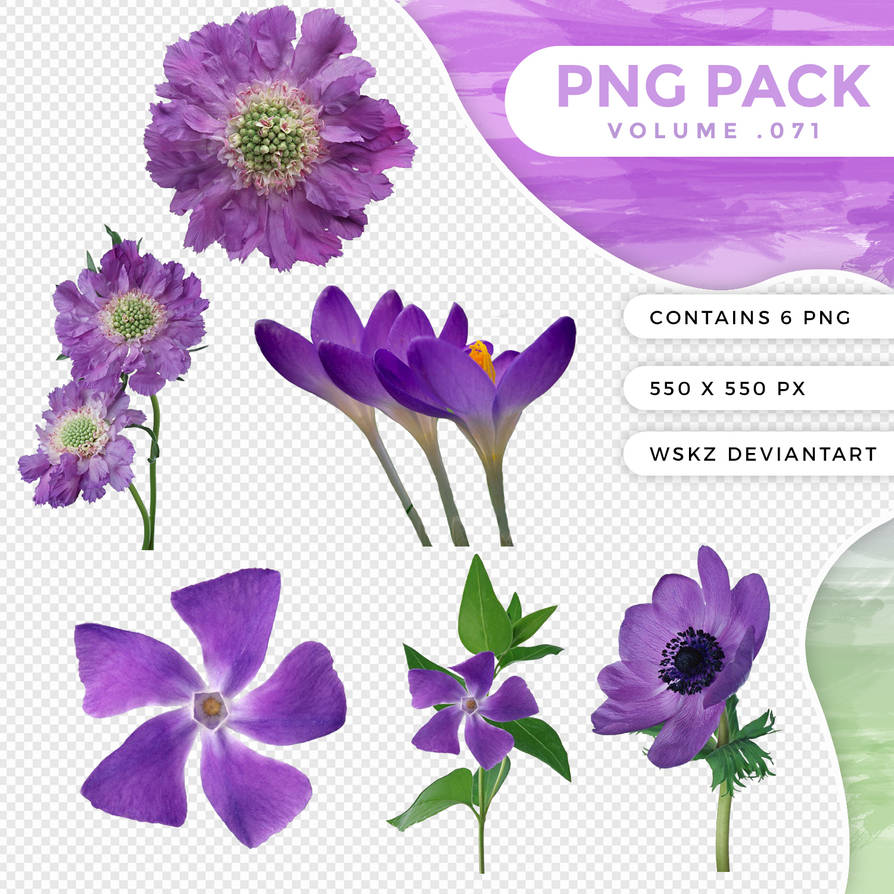 Png pack 71 - Flowers by WskZ on DeviantArt