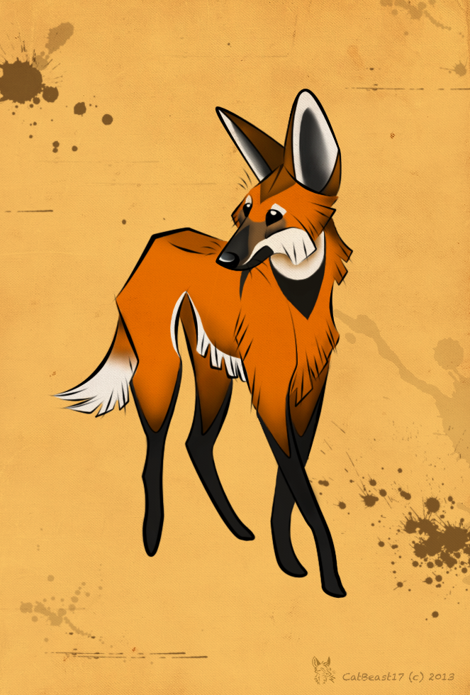 Maned Wolf Drawing