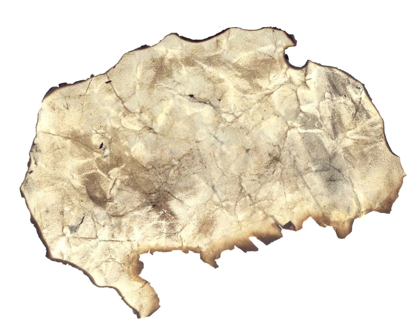 Burnt Parchment Paper Png