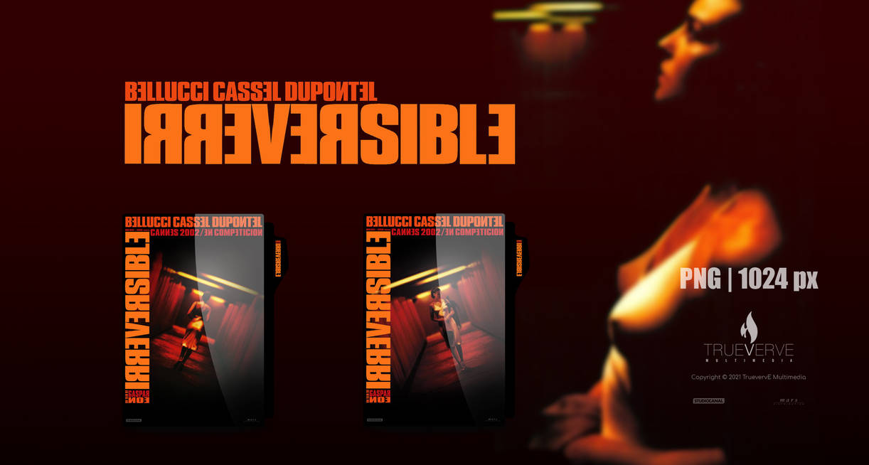 Irreversible Folder Icon Collection by TruevervE on DeviantArt
