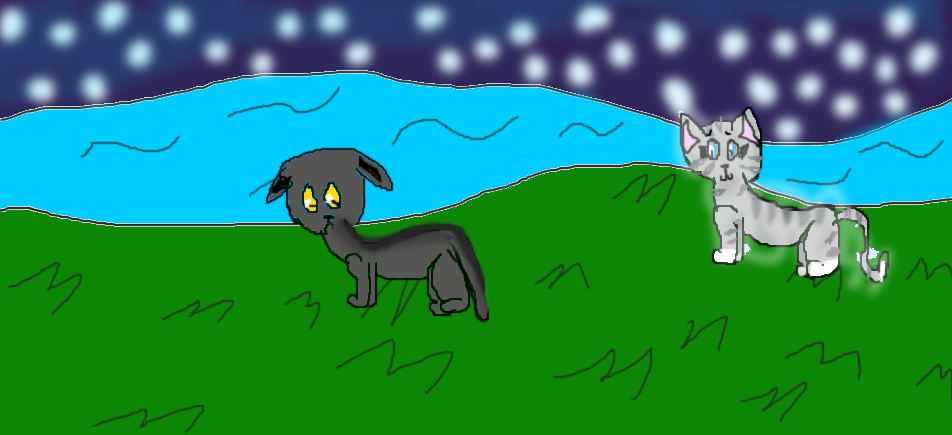 Graystripe X Silverstream Ship by AWildGalaxyGirl on DeviantArt