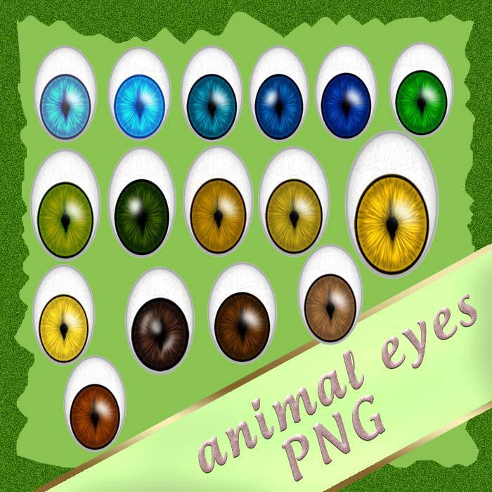 animals eyes by roula33 on DeviantArt