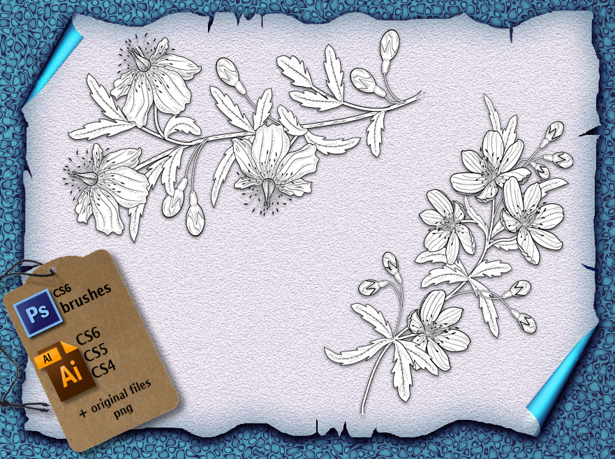 FIower N7 by roula33 on DeviantArt