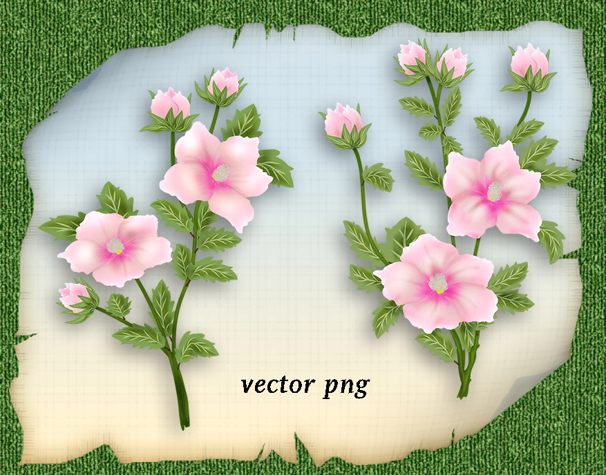 Vector Flowers by roula33 on DeviantArt
