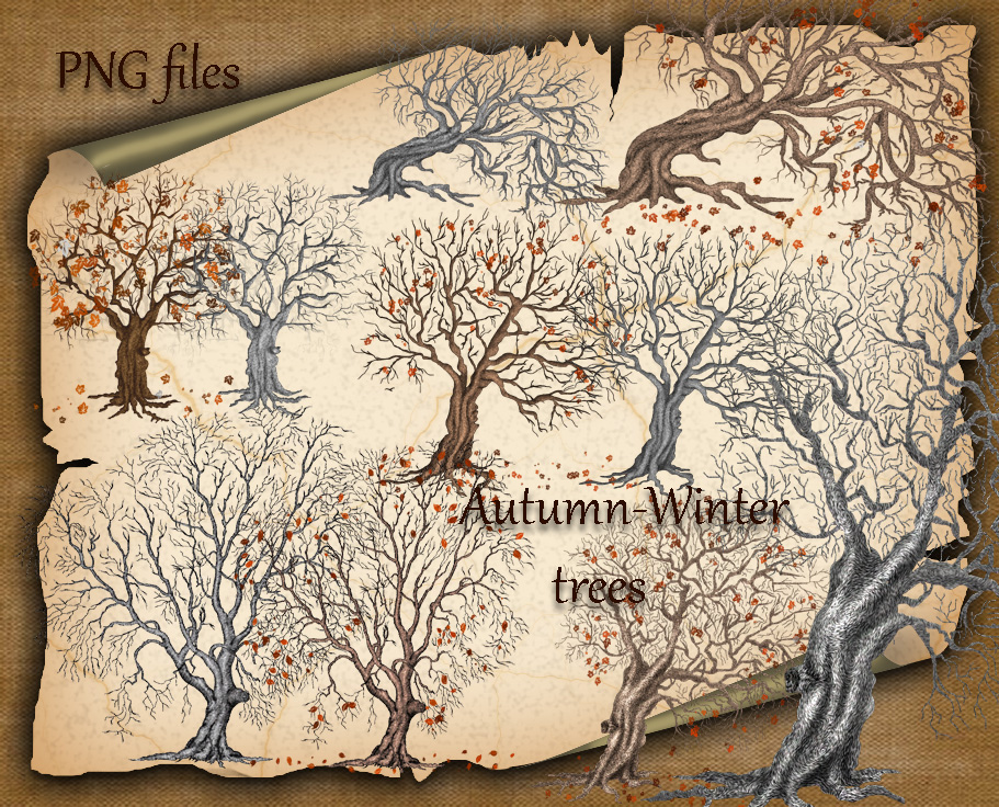 Autumn-Winter trees by roula33 on DeviantArt