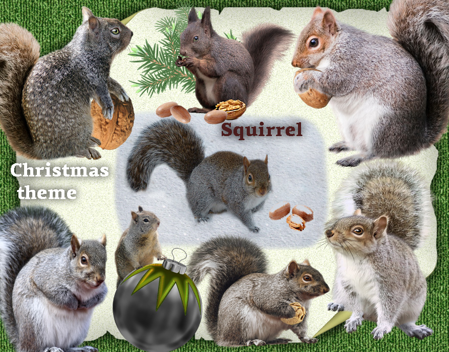 Squirrel-Christmas theme by roula33 on DeviantArt