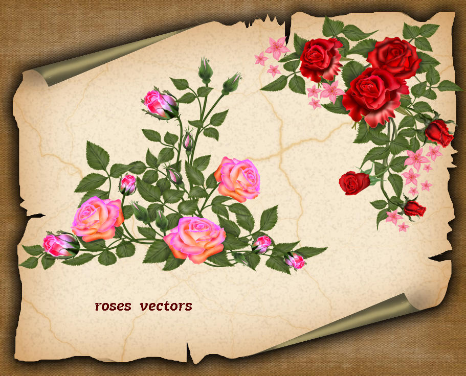 Roses Vector by roula33 on DeviantArt