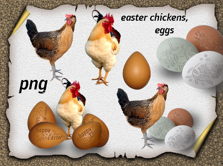 Easter Chickens, Eggs by roula33 on DeviantArt