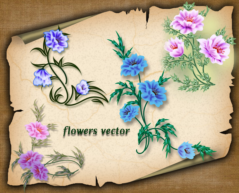 Flowers Vector by roula33 on DeviantArt
