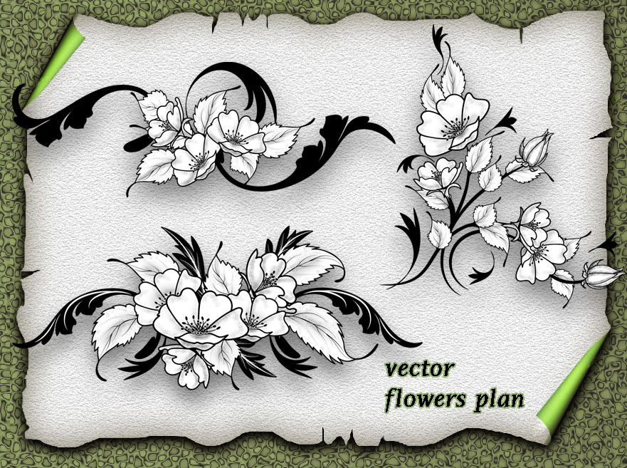 Vector Flower Plan by roula33 on DeviantArt