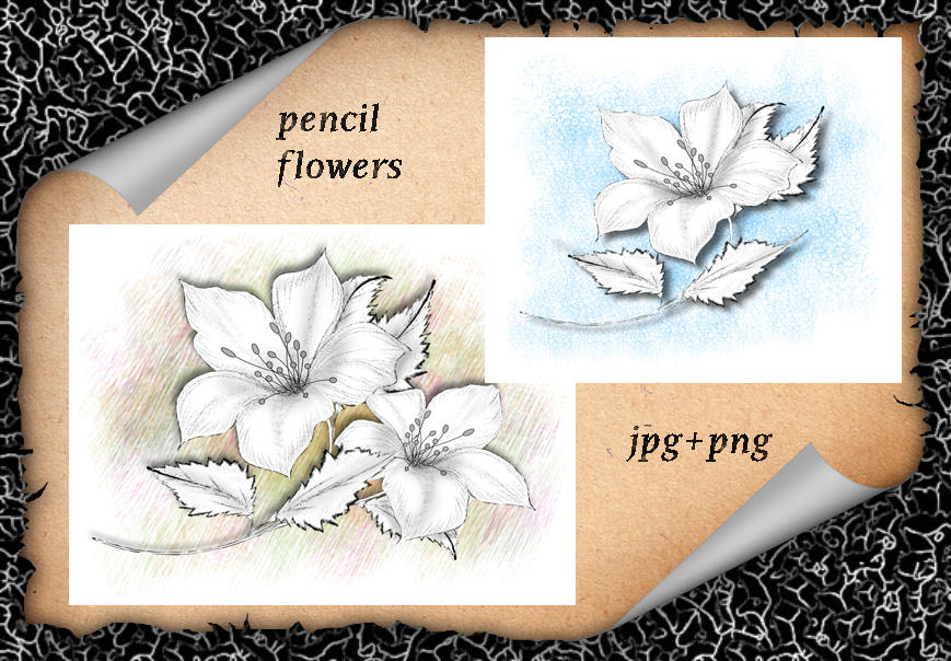 Pencil Flowers by roula33 on DeviantArt