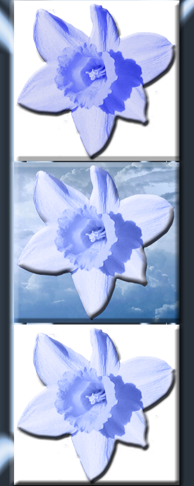 Blue Flower Zip Pack by WDWParksGal-Stock on DeviantArt
