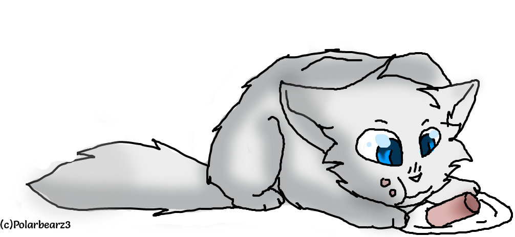 [WARRIORS] Kittypet Warrior by Polarbearz3 on DeviantArt