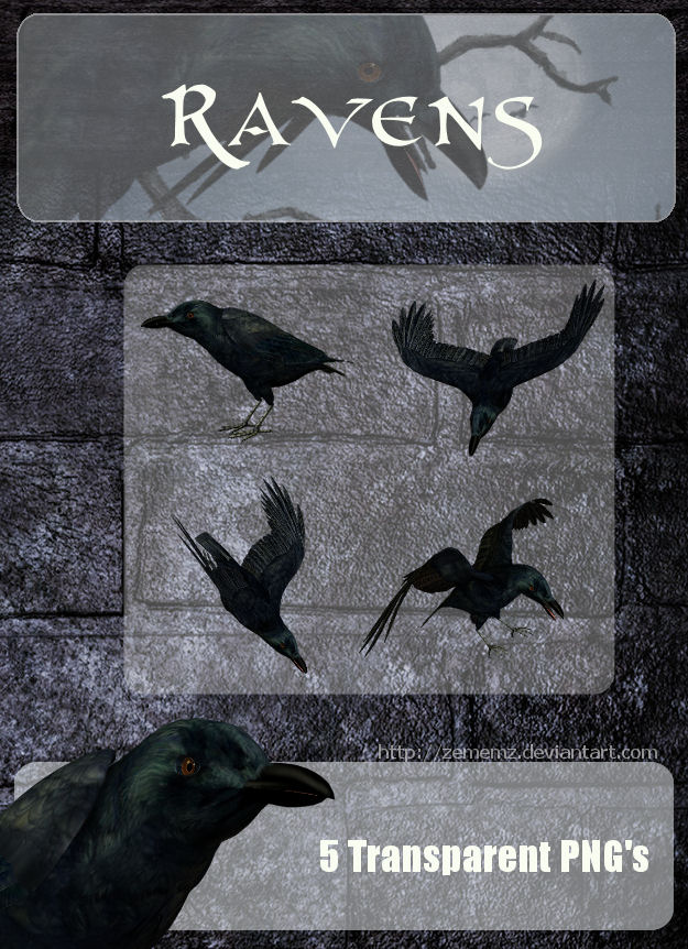 3D Raven Pack by zememz on DeviantArt