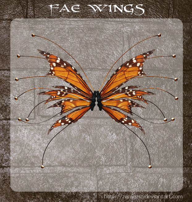 3D Fae Wings 3 by zememz on DeviantArt