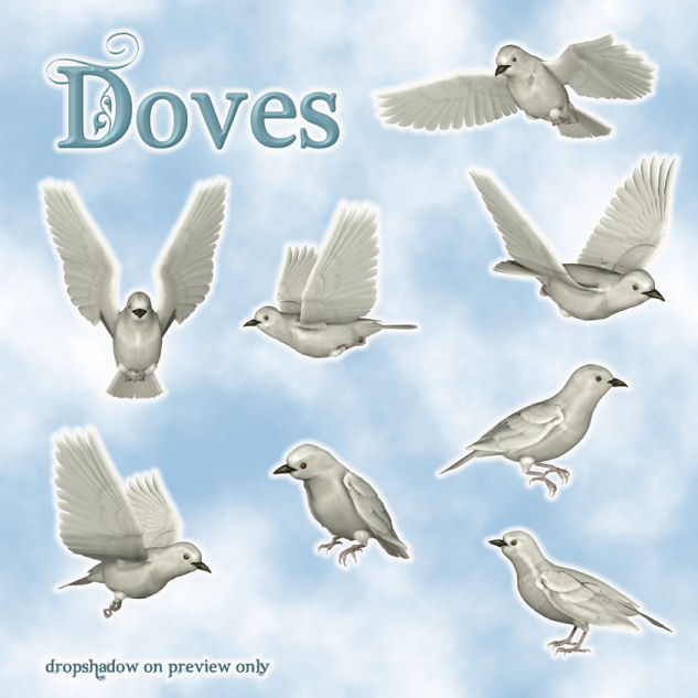 Doves by zememz on DeviantArt