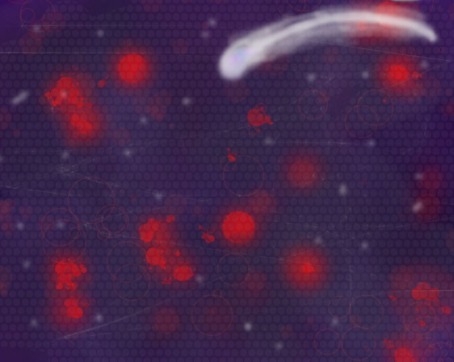 Endless Stars by TundraTheIceWolf on DeviantArt