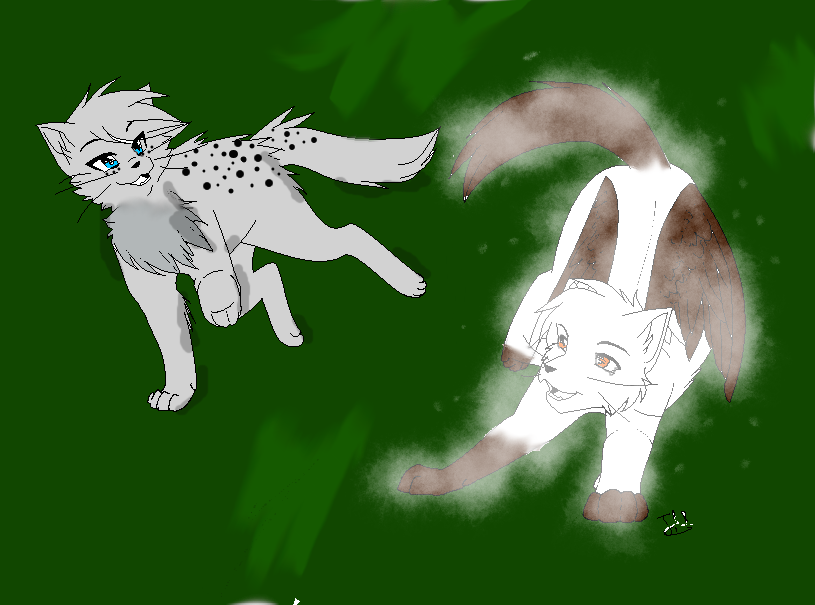 StoneWing and AngelWing by niknholly1 on DeviantArt