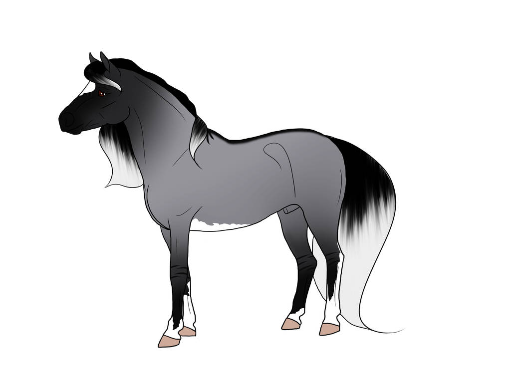 7990 Silver Streak - SOLD by ANIMALGIRL1869 on DeviantArt