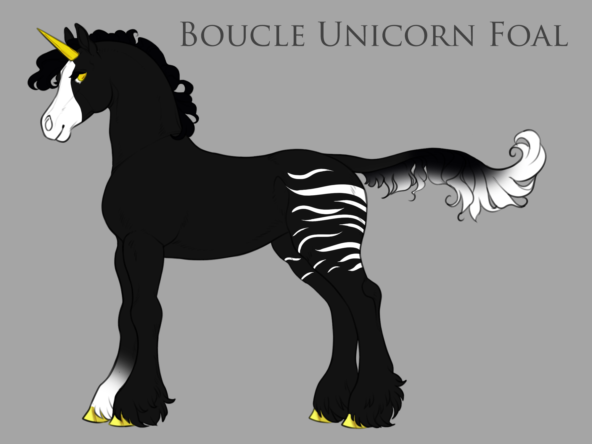 A258 Foal Design by ANIMALGIRL1869 on DeviantArt