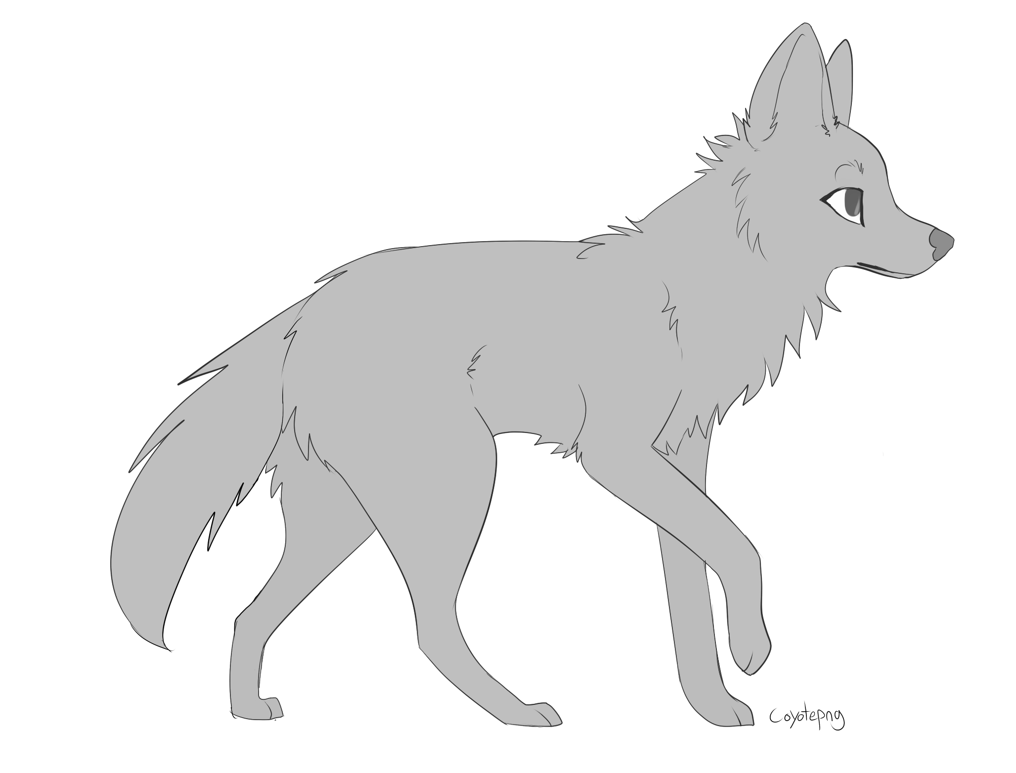 free canine lines by coyotepng on DeviantArt
