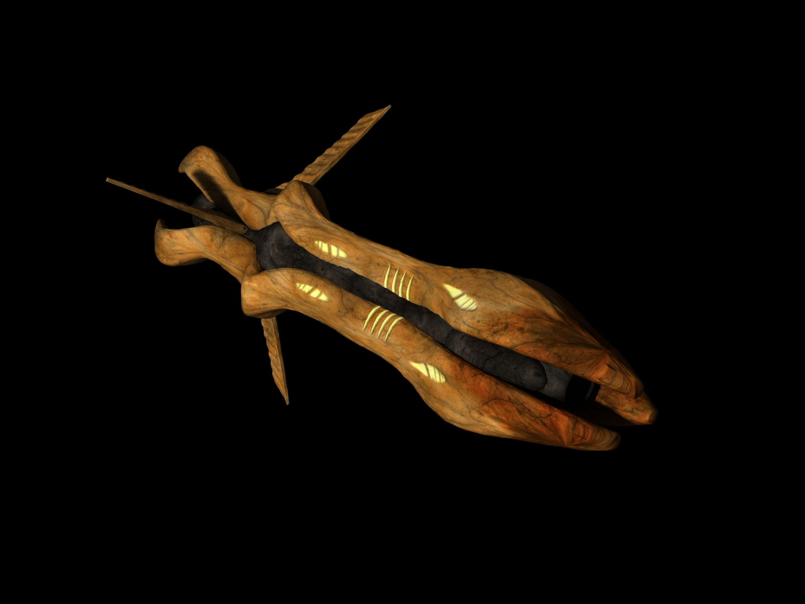 Species 8472 Bioship