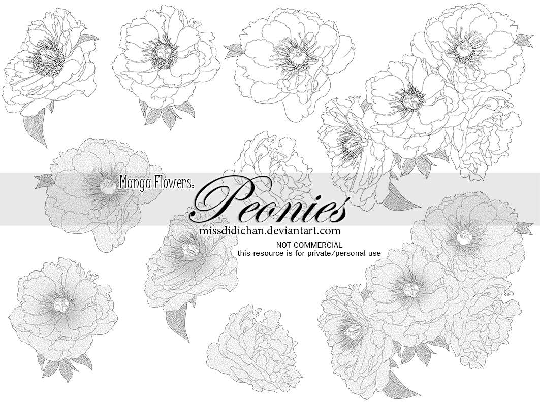 Manga flowers: Peonies by MissDidichan on DeviantArt
