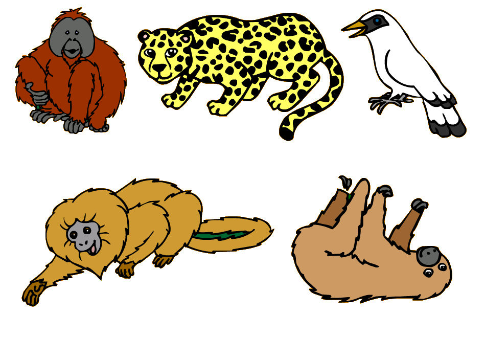 Animal Vectors - Rainforest by mabmb1987 on DeviantArt